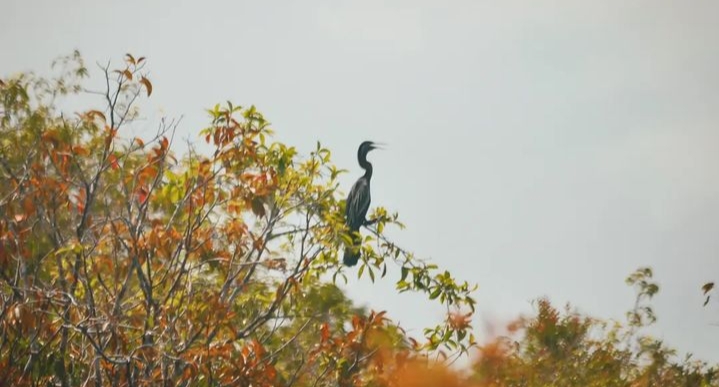 Menikmati Keindahan Taman Nasional Betung Kerihun, Salah Satu Taman ...