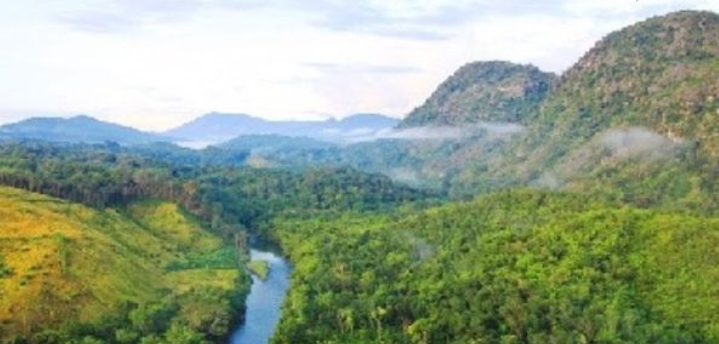 Menjelajahi Keindahan Alam Taman Nasional Bukit Baka Bukit Raya di ...